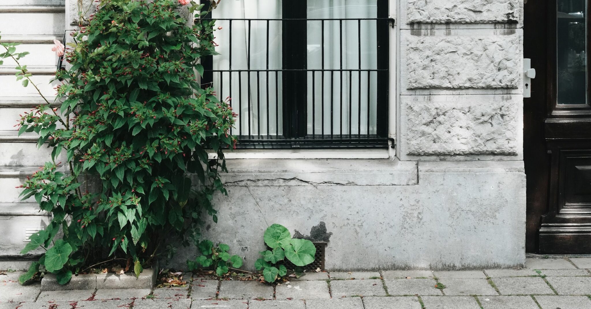 Soubassement mur extérieur : Quelle option pour façade de maison